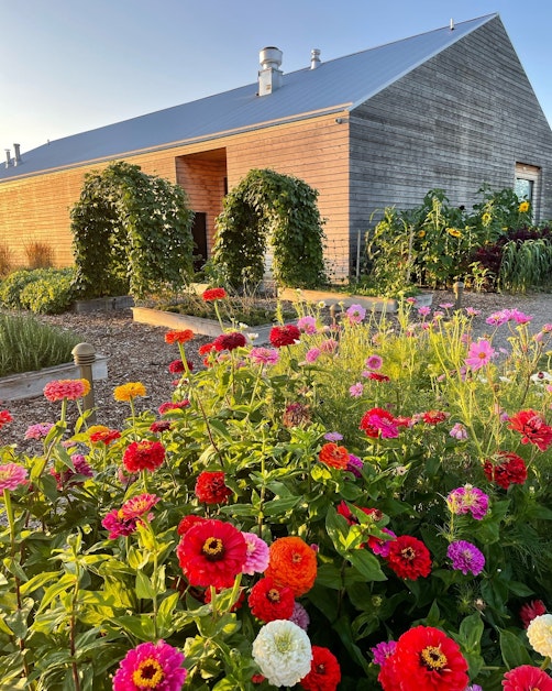 Food and Fun at Farm Club · Traverse Indivisible